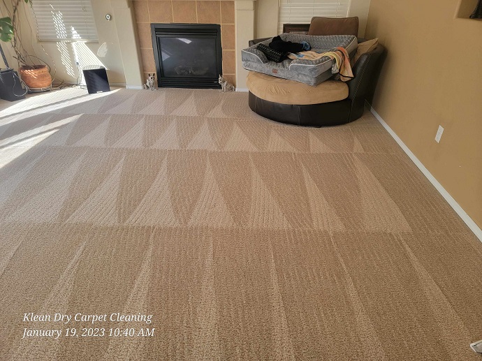 top rated carpet cleaning service in Albuquerque